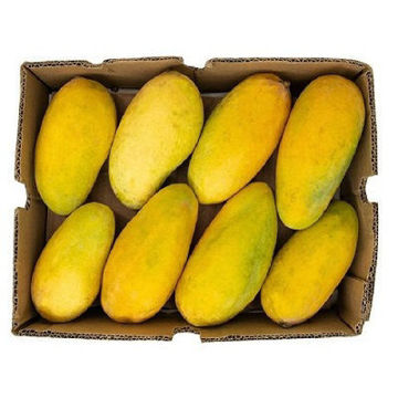 Farzana | Buy Bulk Fruits and Vegetables online in Dubai